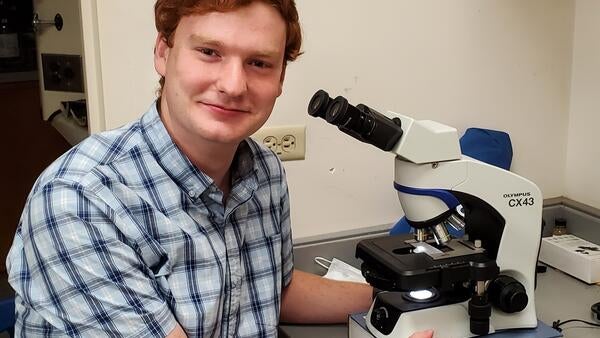 REU Projects | Center for Plant Cell Biology